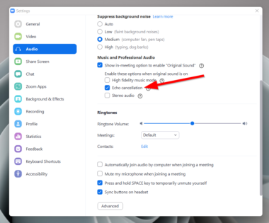 Zoom Noise Cancellation: How to Eliminate Background Noise & Echo