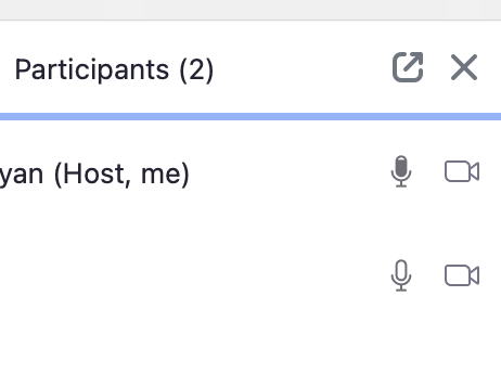 How to Mute Zoom: All You Need to Know