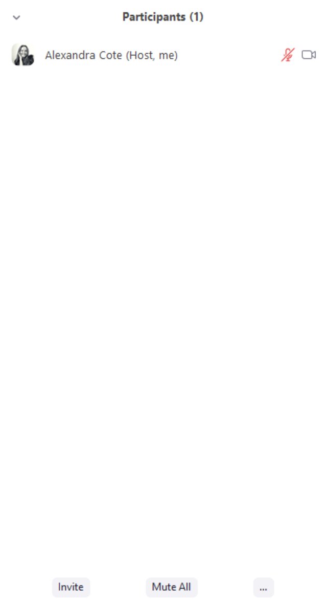 How to Mute Zoom: All You Need to Know