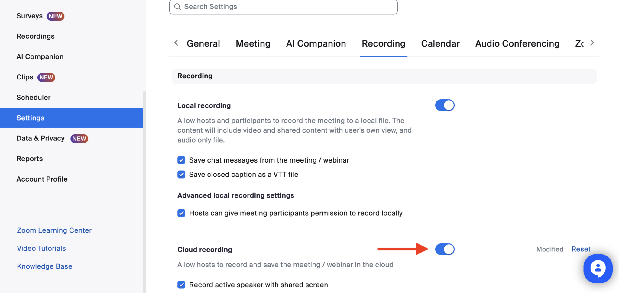 Zoom Transcription: How to Transcribe Zoom Meetings