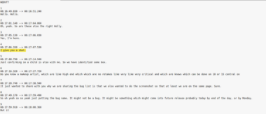 Free Zoom Transcription | How to Transcribe Zoom Meetings