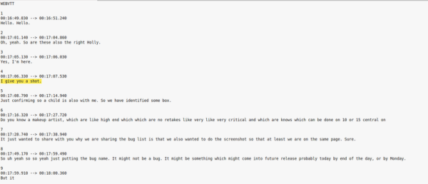 Free Zoom Transcription | How to Transcribe Zoom Meetings