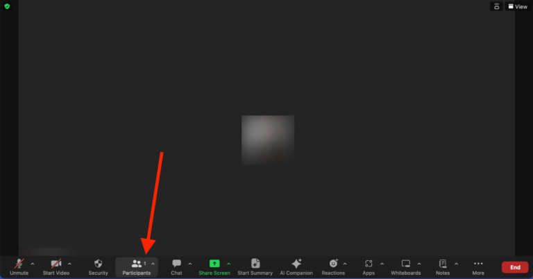 How to Change Name on Zoom: Assuming a Fresh Identity - Krisp