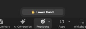 How to Raise Hand in Zoom: A Simple Gesture - Krisp