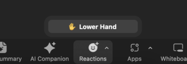 How to Raise Hand in Zoom: A Simple Gesture - Krisp