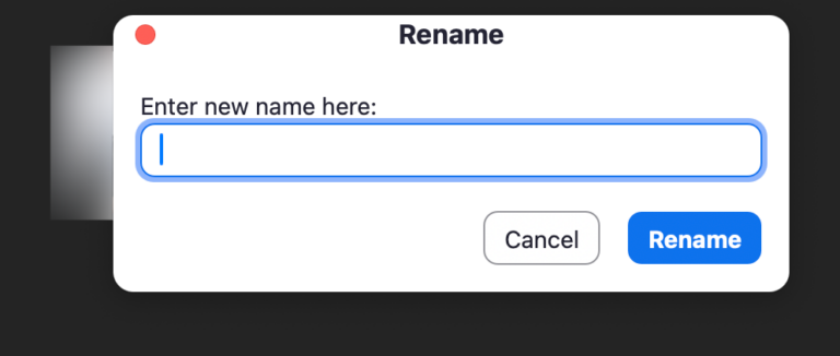 How to Change Name on Zoom: Assuming a Fresh Identity - Krisp