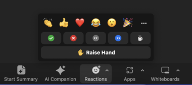 How to Raise Hand in Zoom: A Simple Gesture - Krisp