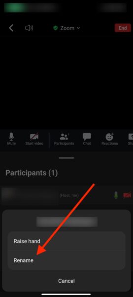 How to Change Name on Zoom: Assuming a Fresh Identity - Krisp