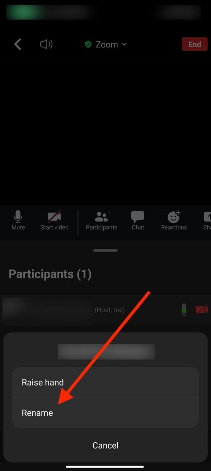How to Change Name on Zoom: Assuming a Fresh Identity - Krisp