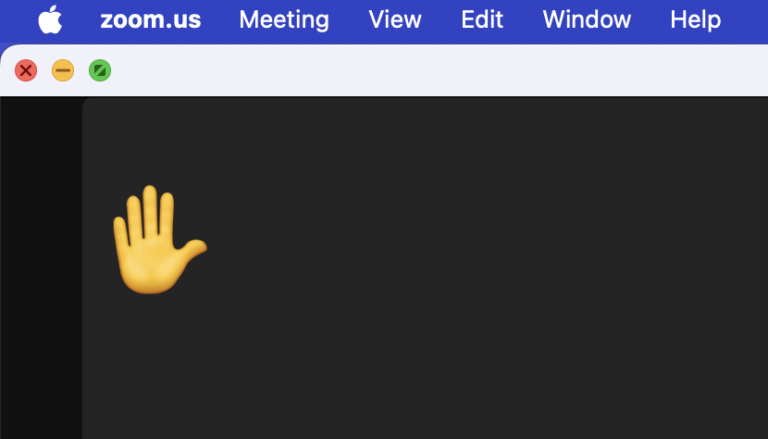 How to Raise Hand in Zoom: A Simple Gesture - Krisp
