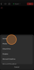 How to Share Screen on Zoom Meetings