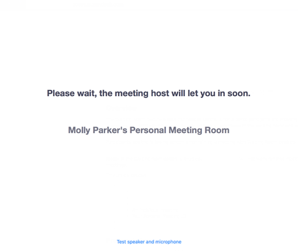 Zoom Waiting Room: The 2024 Guide For Smooth Meeting Flows