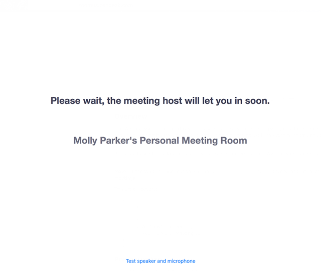 Zoom Waiting Room: The 2024 Guide For Smooth Meeting Flows