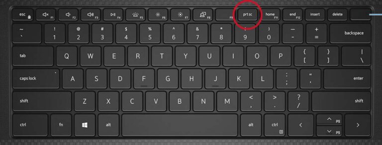 How to Take Zoom Screenshot: Step-by-Step Guide