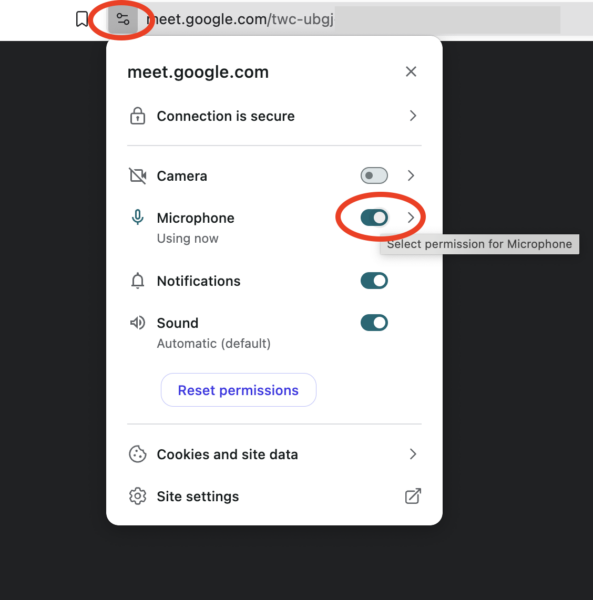 Why Is Google Meet Microphone Not Working? Full Fix Guide