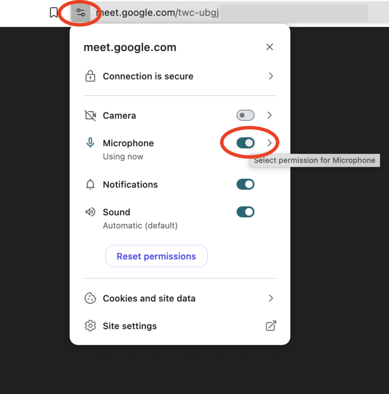 Why Is Google Meet Microphone Not Working? Full Fix Guide