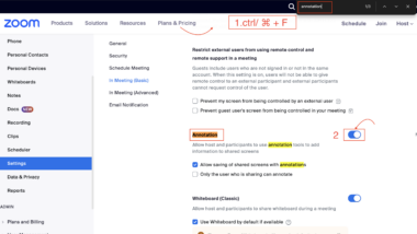 How to Annotate on Zoom: Complete Guide