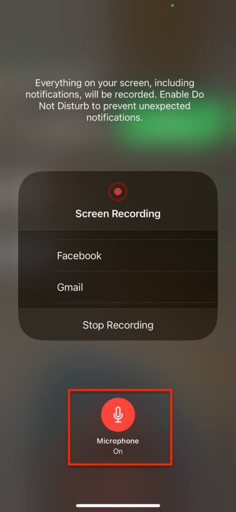 How to Screen Record FaceTime with Sound