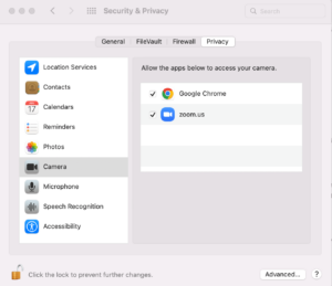 Why is my Zoom camera not working and How to Fix it?