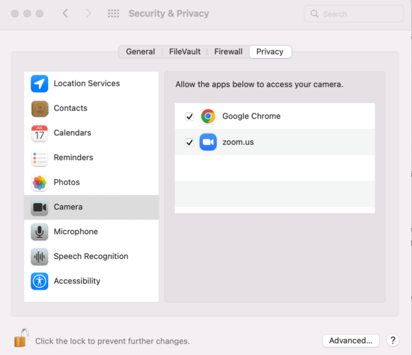 Why is my Zoom camera not working and How to Fix it?