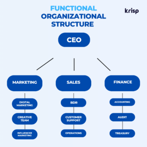 Organizational Structures: Which One Fits Your Business